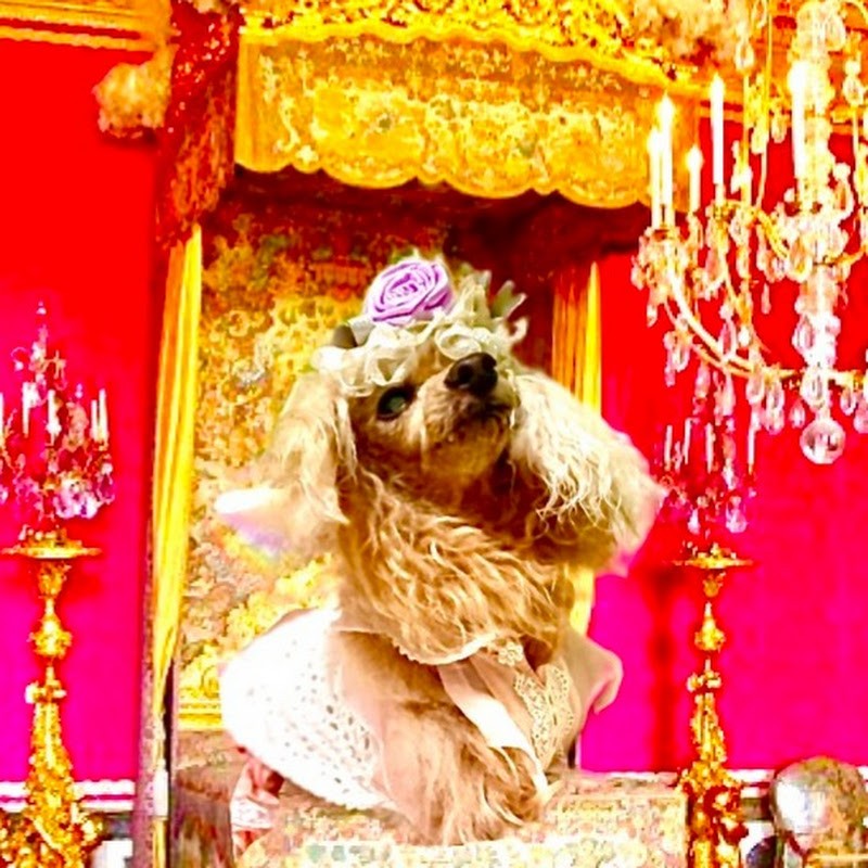 Alan CH|INFLUENCER PORTAL.com